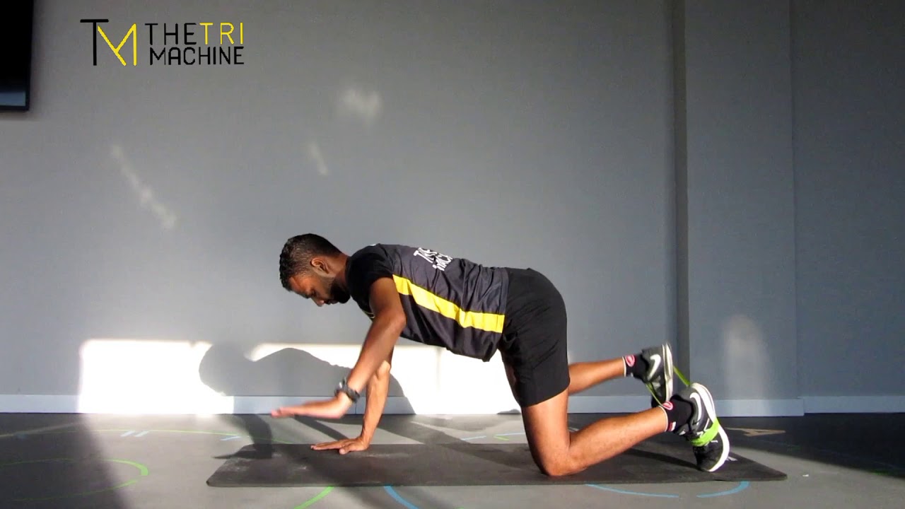 Quadruped counter raise #Miniband - YouTube