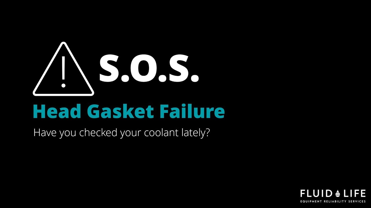 Head Gasket Failures: Have you checked your coolant lately? - YouTube