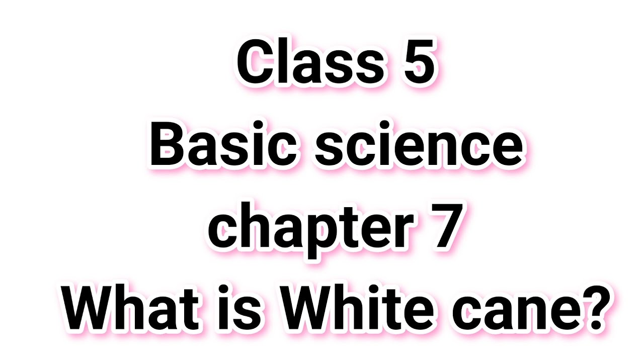 Class 5 Basic Science Chapter 7 What Is White Cane YouTube class-5-basic-science-chapter-7-what-is-white-cane-youtube