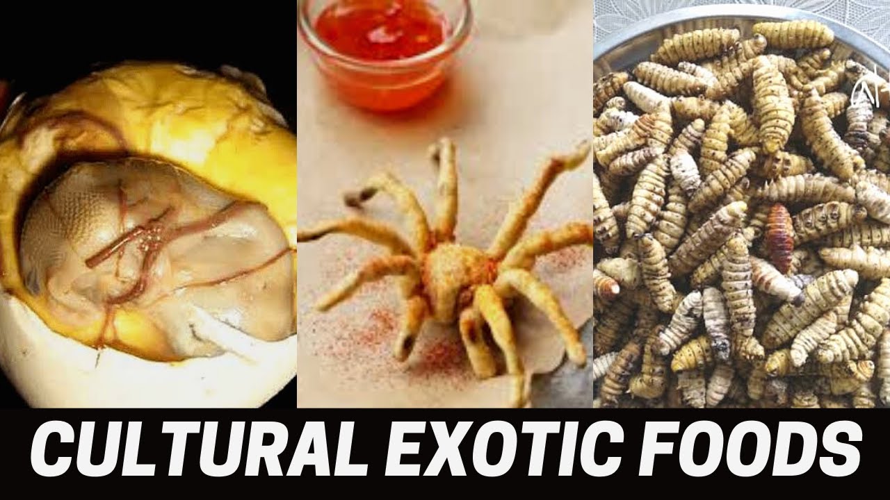 Exotic Foods Around the World - YouTube