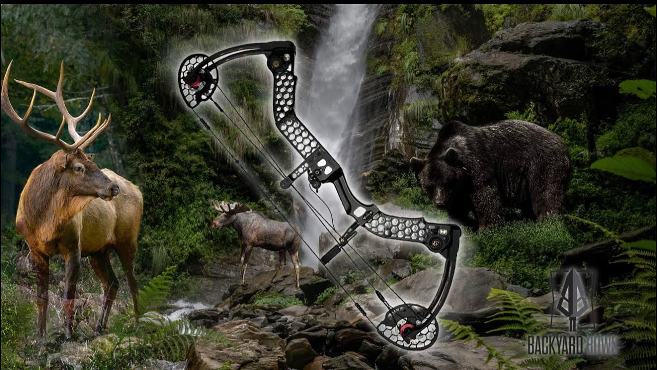 Backyad Bows Mathews Safari Review - YouTube