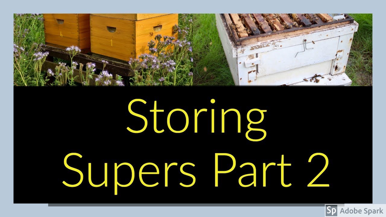 Storing Honey Supers Video Part 2 | Killing Mites In The Fall ...