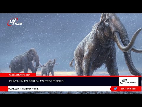 Dünyanın En Eski DNA’sı Tespit Edildi | 28.02.2021