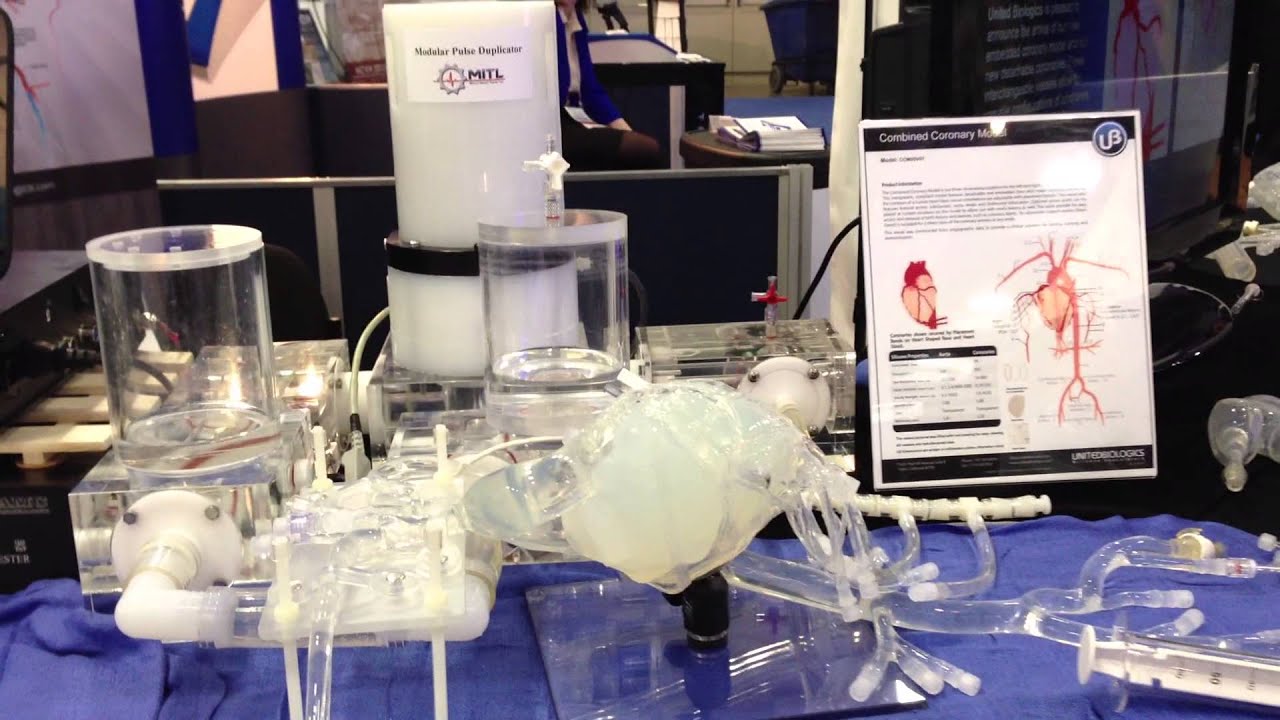 MITL's Modular Pulse Duplicator with Coronary Model - YouTube