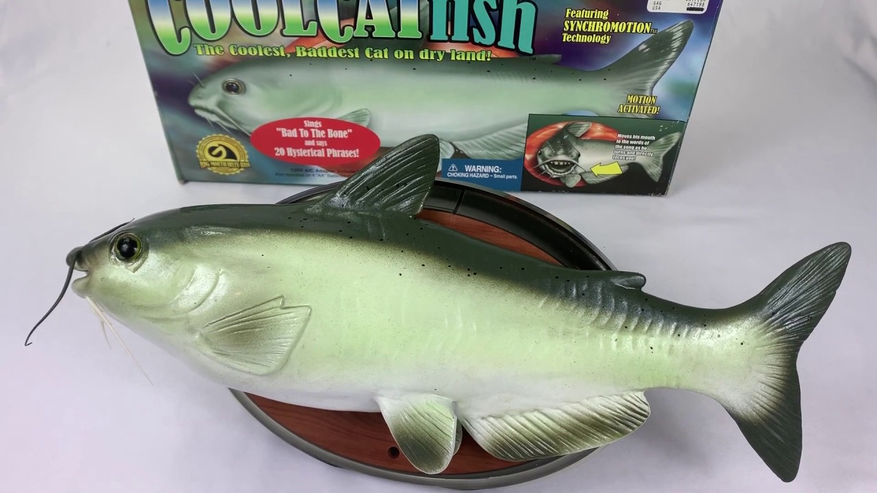 Cool Catfish 2000 Gemmy Motion Singing Bad To The Bone Talking Catfish ...