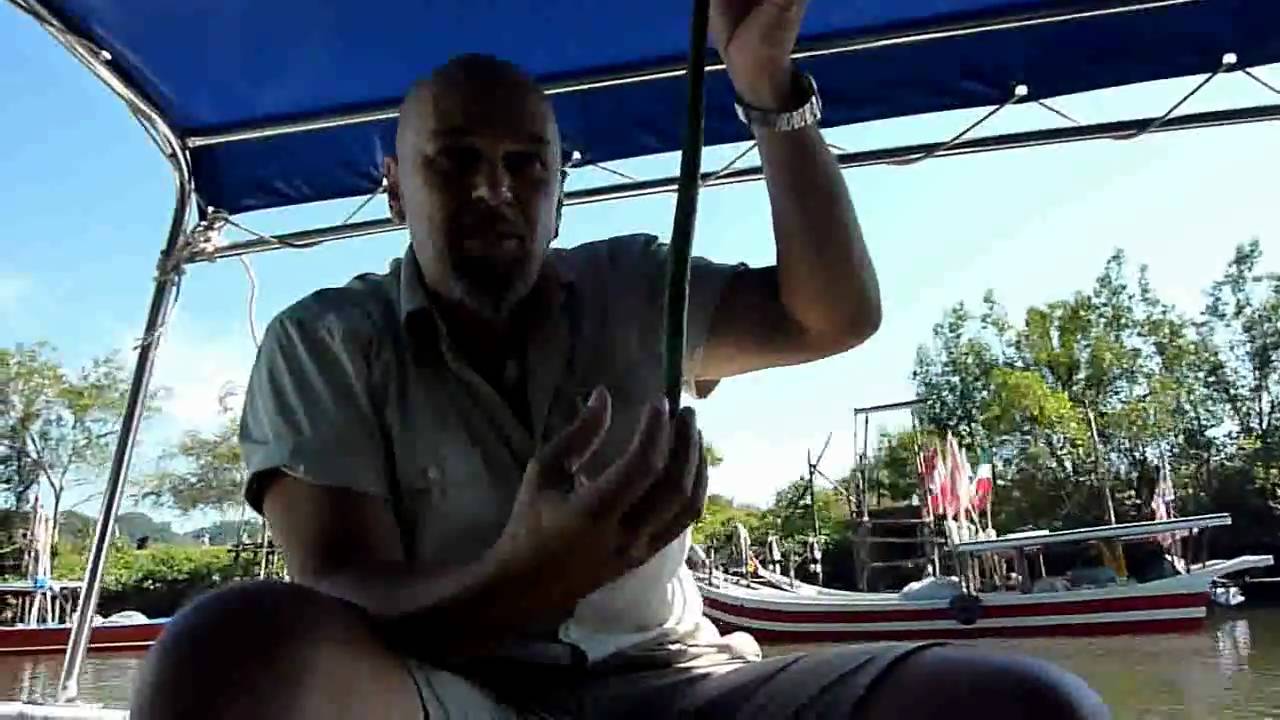 Peter Höfinger auf Mangroven Tour.avi - YouTube