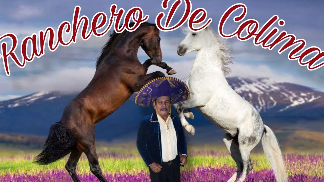 "Ranchero de Colima" canción tommy tomas - YouTube