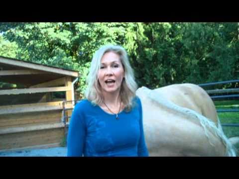 Shake Your But.wmv - YouTube