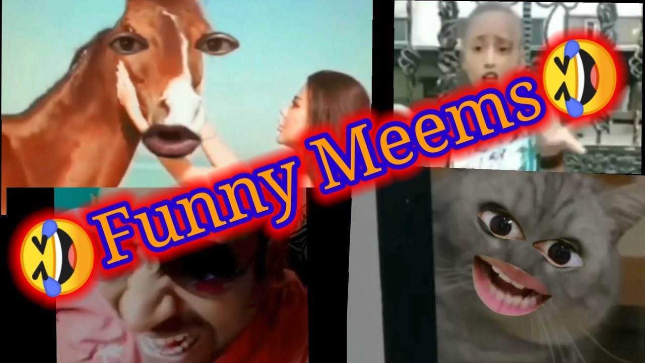 meems 🤣funnymeems 🤣🔥🔥trendingmeems 🔥🔥🤣 - YouTube
