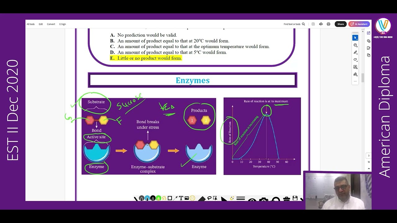 ِAmerican Diploma Biology | EST II | December 2020 | Enzymes Q2 ...