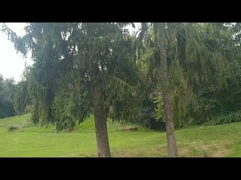 Fransa da bir Park ... Geniş, Yemyeşil ve Tertemiz... #france #travel #vlog #ykvlog #düğün