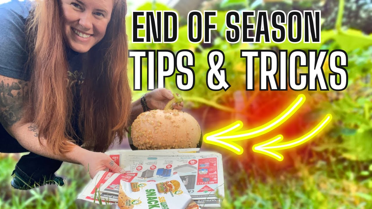 4 Things You Need To Do NOW In Order To Limp Your Garden To The End ...