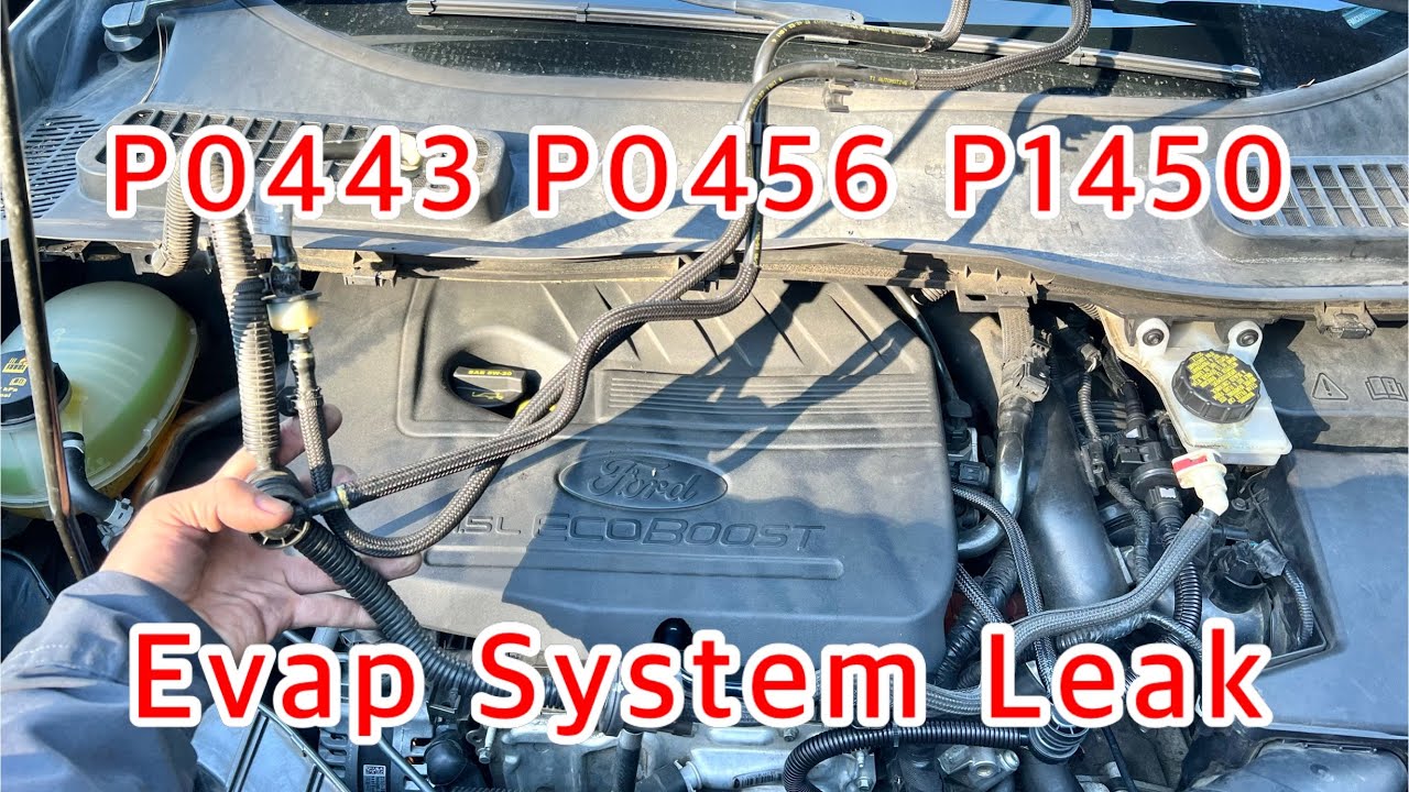 Ford Escape Purge Valve Replace Codes P0443 P0456 P1450 Easy Fix