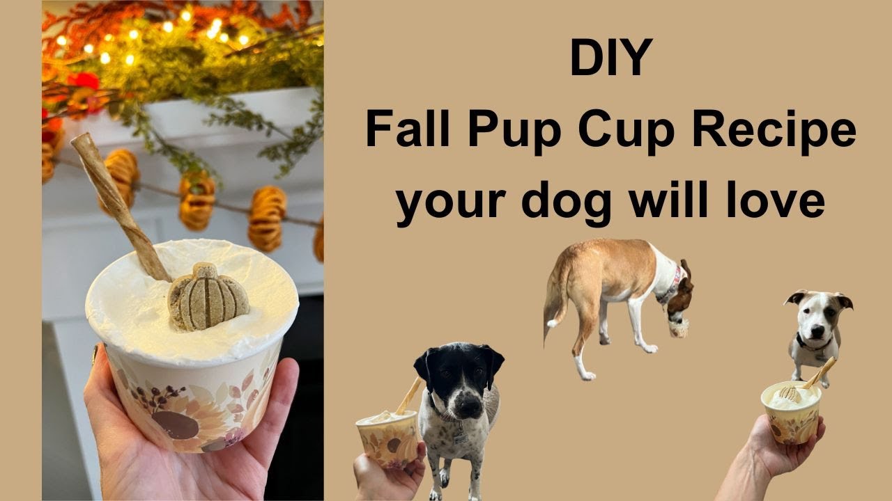 ASMR DIY Fall Pup Cup Recipe Healthier than Starbucks - YouTube