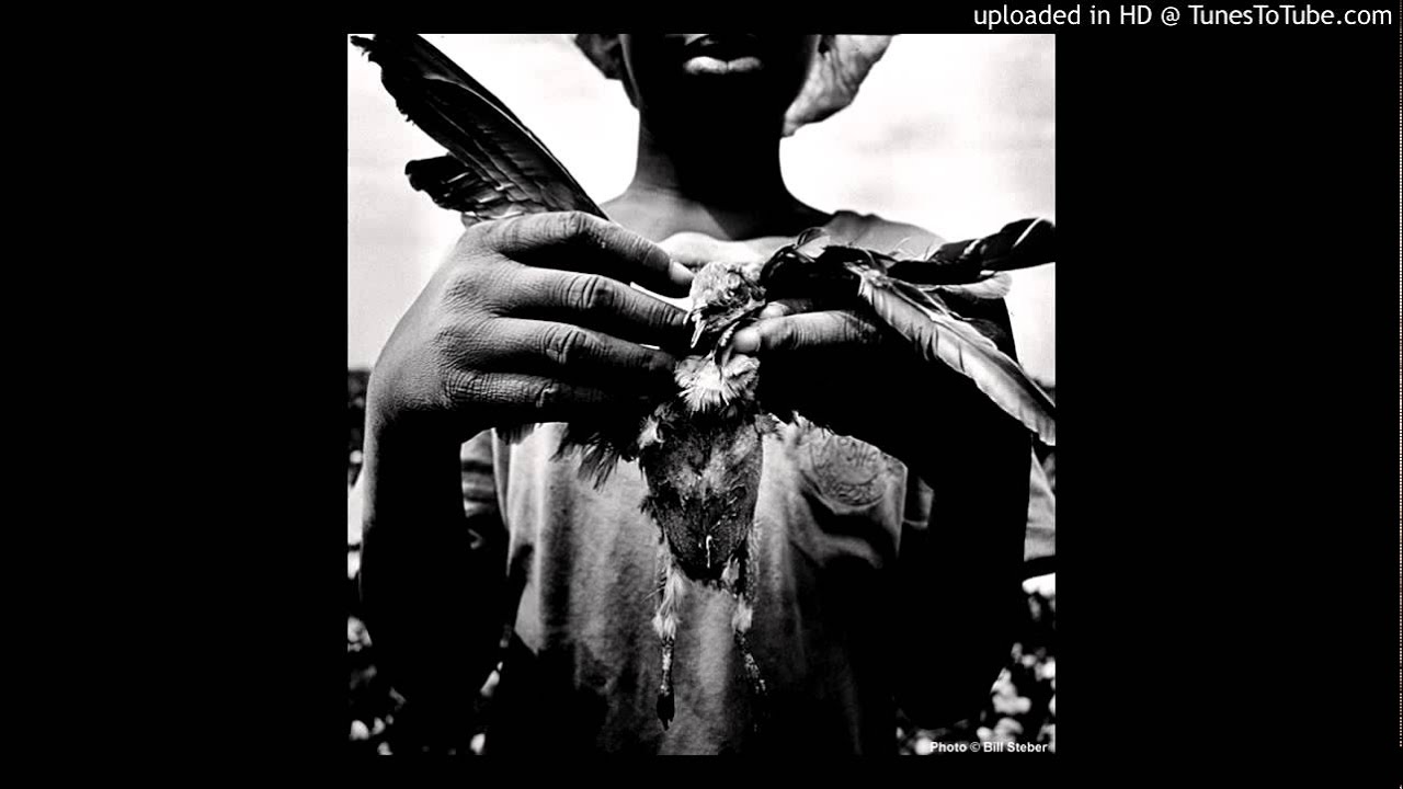 Love Blues - Cecil Barfield - YouTube