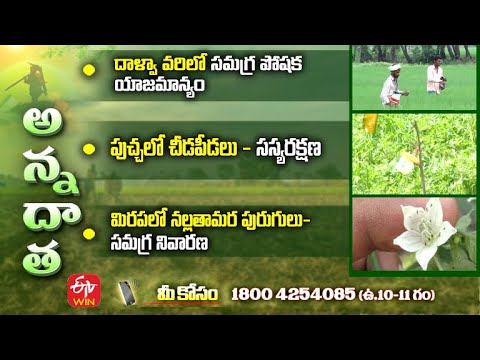 19th January 2023 | Annadata | అన్నదాత | Full Episode | ETV Telugu ...