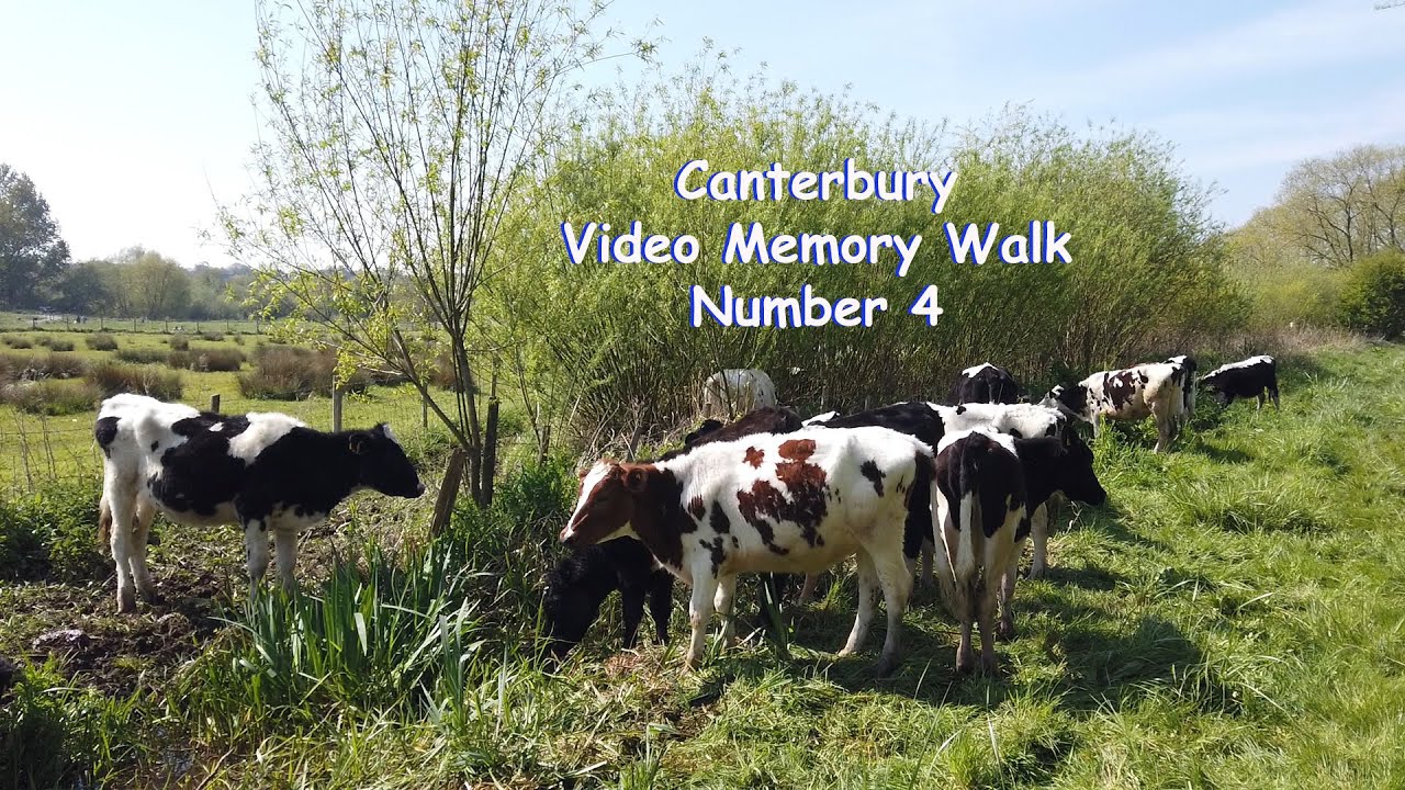 CANTERBURY MEMORY WALK LONDON ROAD DUKES MEADOW HARBLEDOWN AND ...
