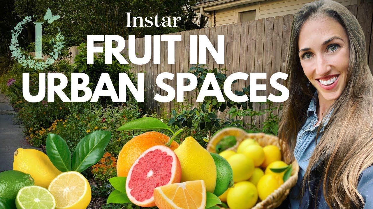 How to Grow a Fruit Forest in Your City - YouTube