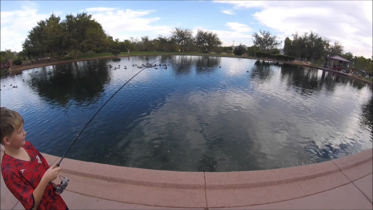 Arizona Catfishing - 9.5 Pound Channel Catfish at Anthem - YouTube