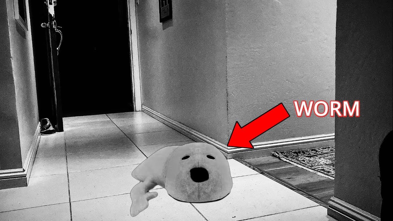 Stay Away From this Worm.. - YouTube