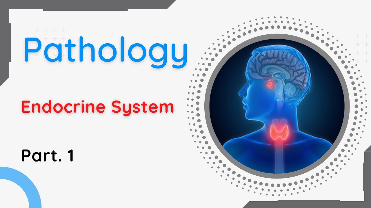 Pathology | Endocrine System | #1 - YouTube