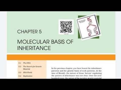 molecular basis of inheritance part 2#class 12 #biology - YouTube