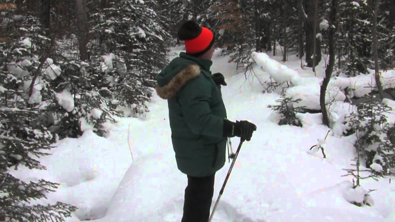 Great Getaways: Pine Marten Run - Hiawatha National Forest, MI - YouTube