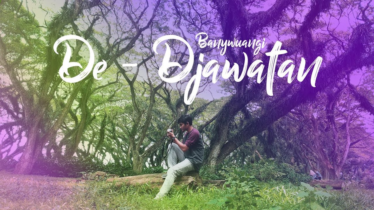 De - Djawatan Benculuk (Hutan Trembesi), Banyuwangi - Jawa Timur (Full ...