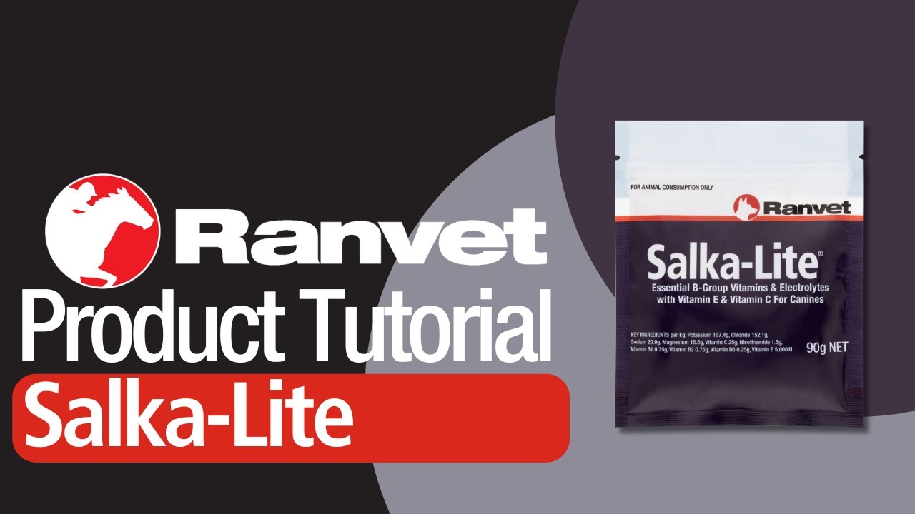 Salka-Lite - Canine Product Tutorial - YouTube