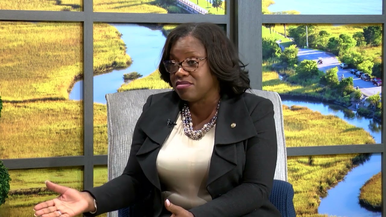 Democratic Nominee, SC State House of Representatives District 94 Ilene ...