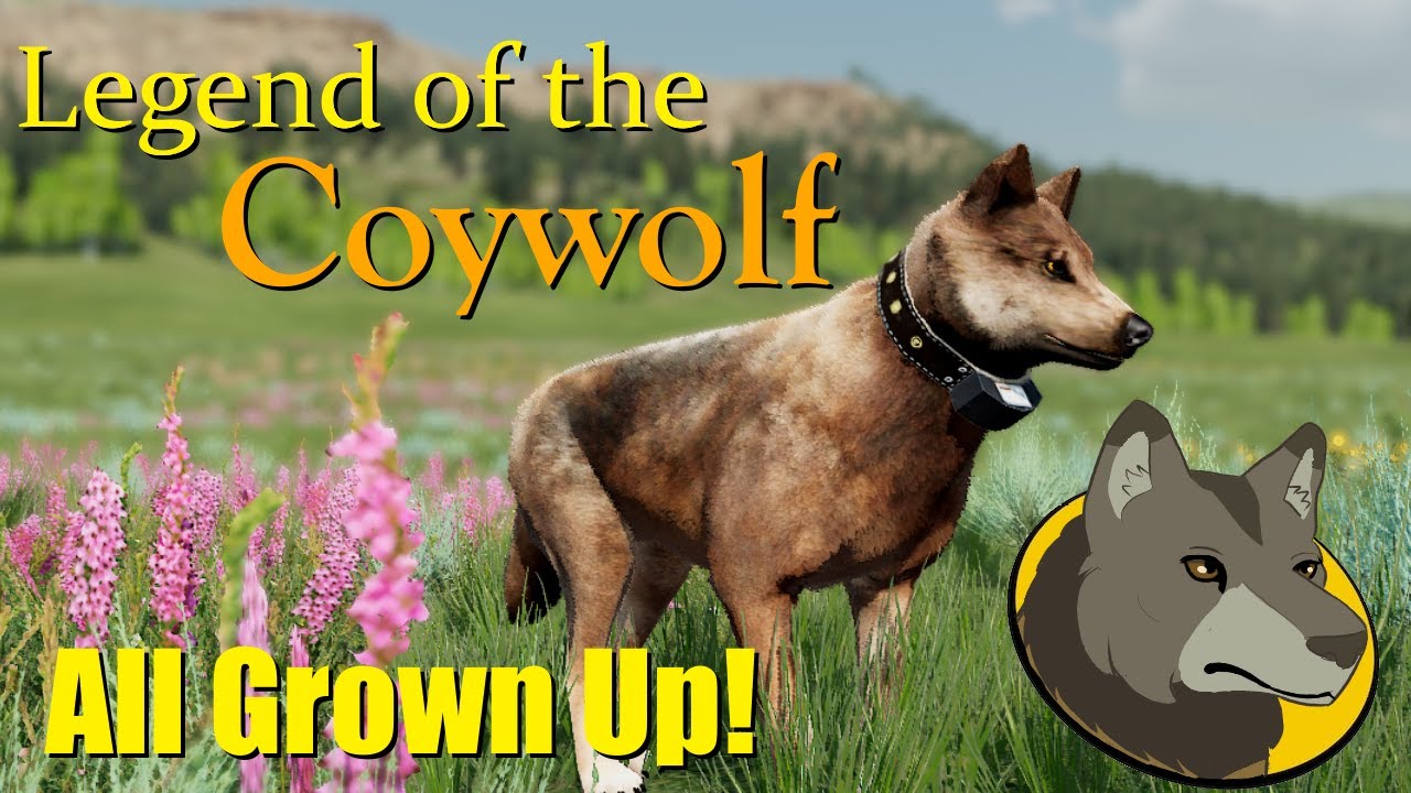 The Legend of the Coywolf Episode 11 || Meeting Our Pups 1 || Wolfquest - YouTube