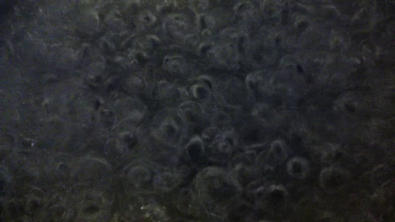 Boiling water texture video - YouTube