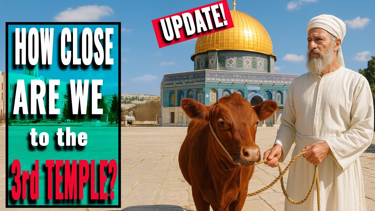 Israel's Temple Institute Announces HUGE STEP Toward 3rd Temple and Red ...