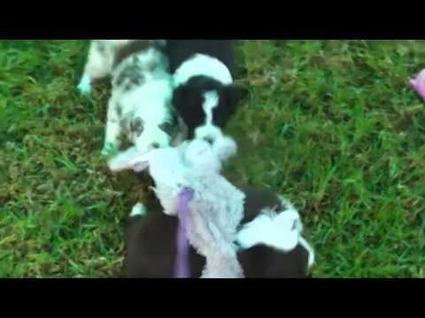 Learning to Tug! - YouTube