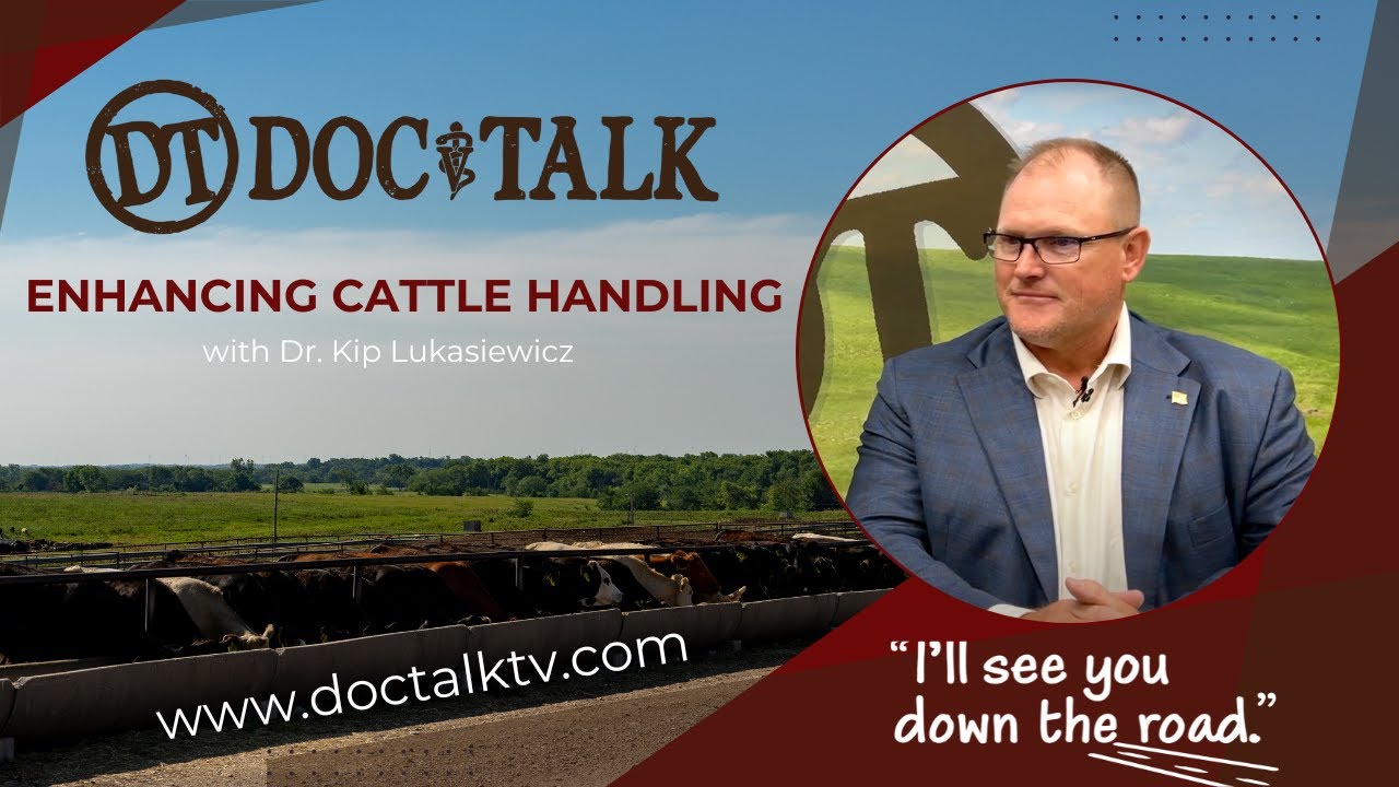 DocTalk Ep 585 - Enhancing Cattle Handling with Dr. Kip Lukasiewicz ...