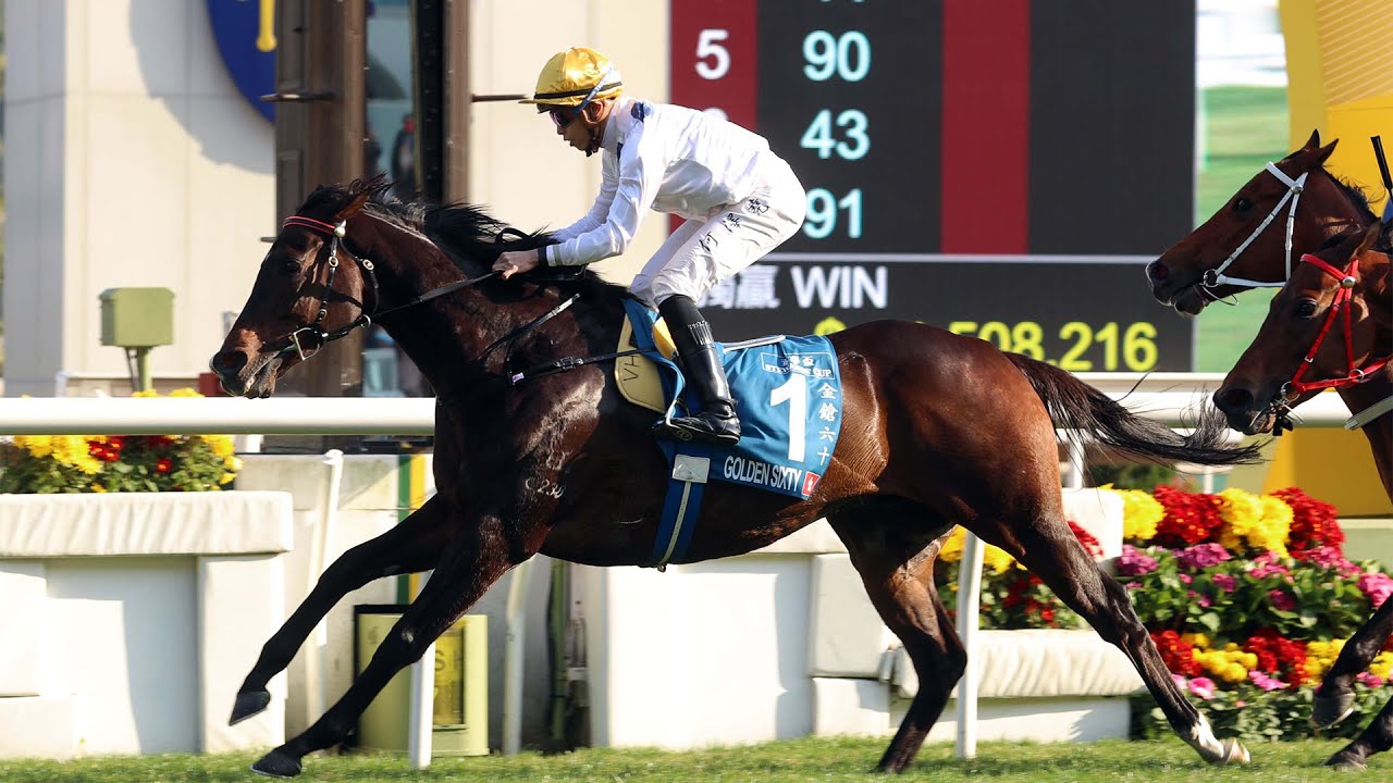 [Stewards’ Cup 2023] Race Replay - YouTube