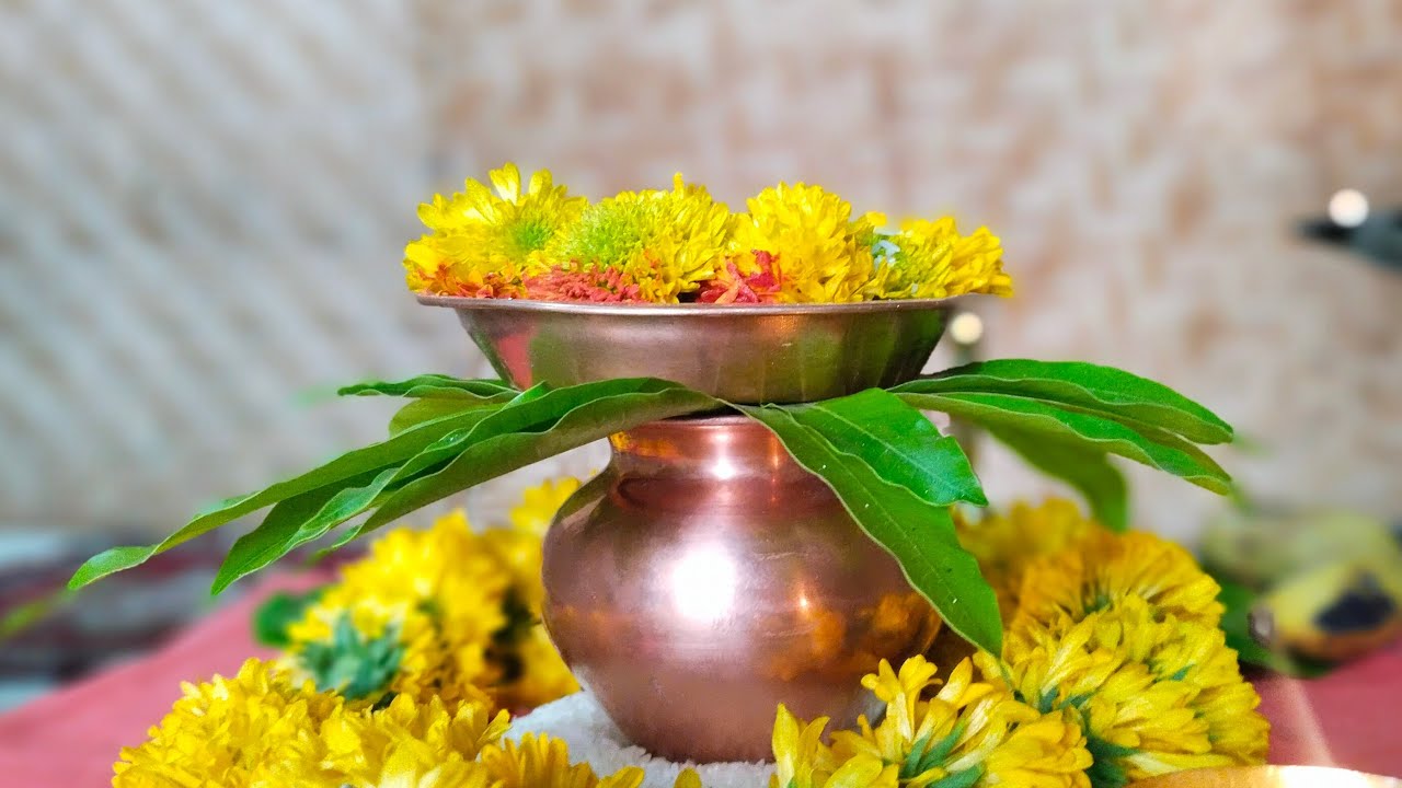 Vedadhara Daily Homa & jaya durga homa 22-1-2025 - YouTube