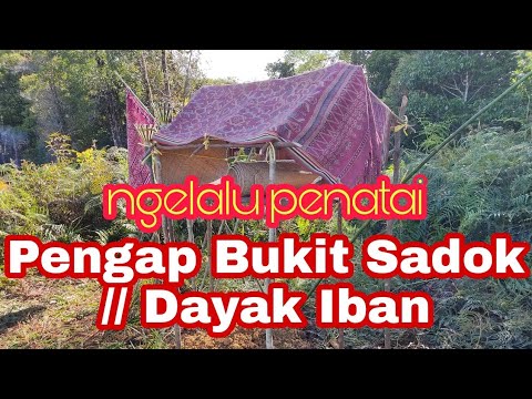 Pengap Bukit Sadok // mengap Dayak iban // Bukit Sadok ulu layar Betong ...