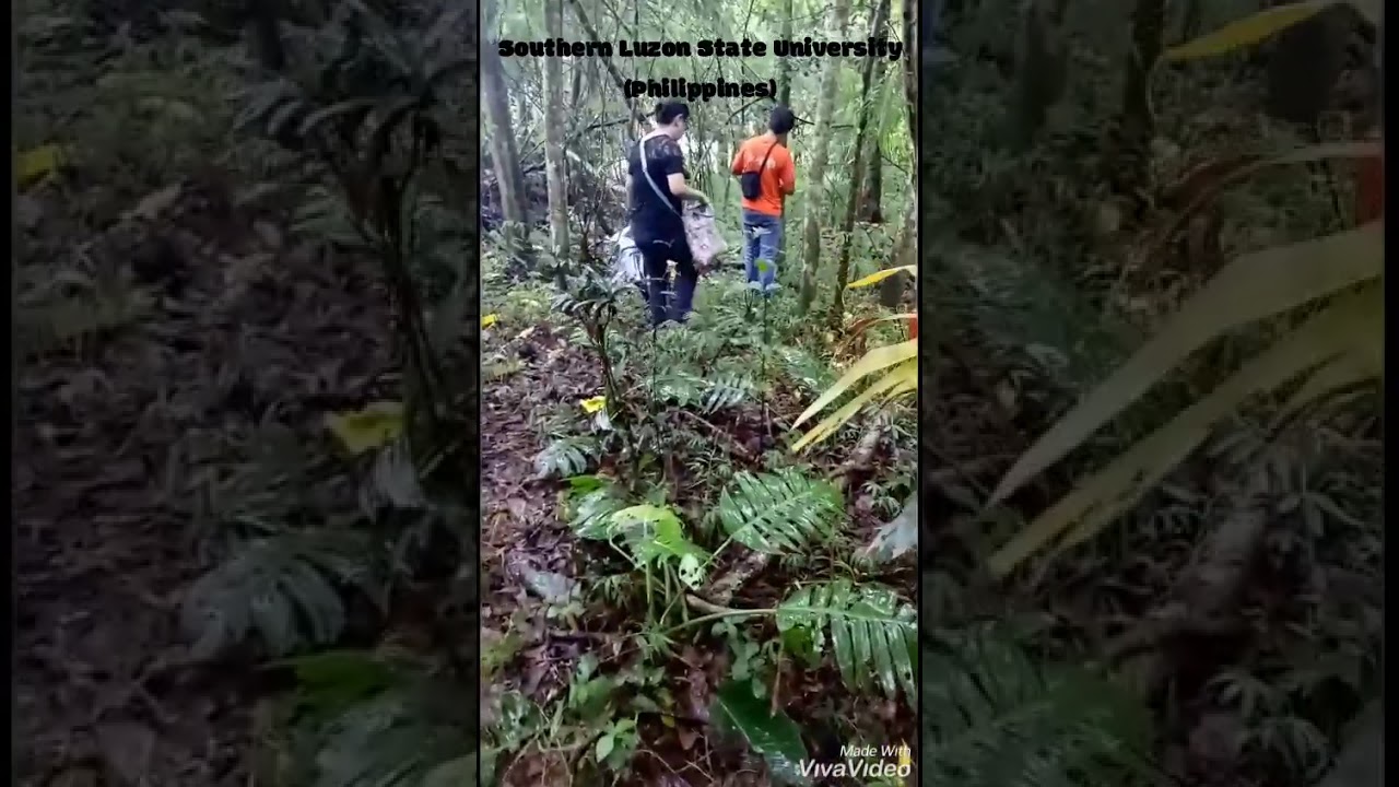 Point Centered Quarter Method - YouTube