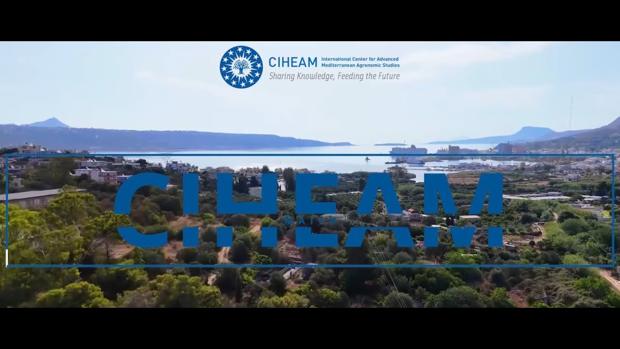 Later Advances of CIHEAM MAICh - YouTube