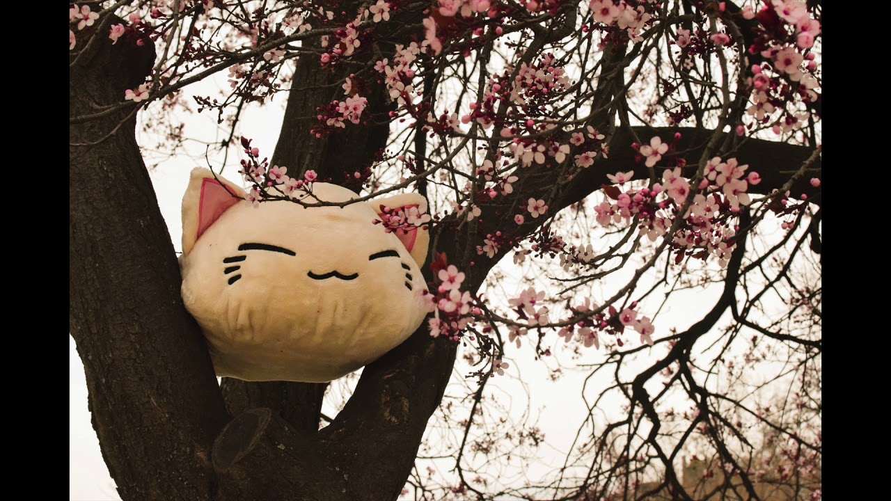 Cashmere cat - Quit ft Ariana Grande ( R.O remix ) - YouTube