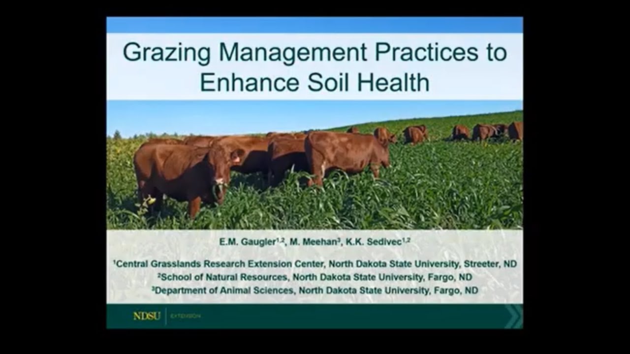 Erin Gaugler 2021 Symposium - YouTube