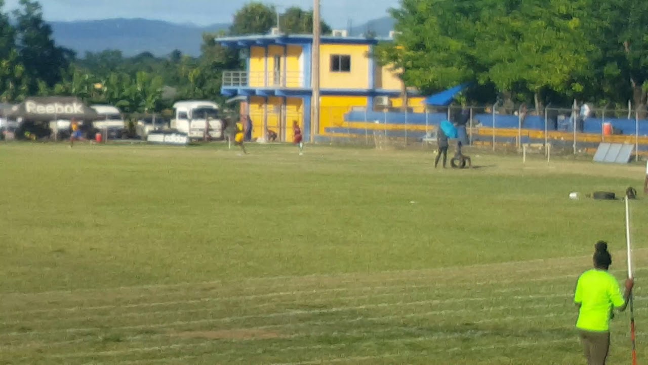 Muschett high stevin Brown - YouTube