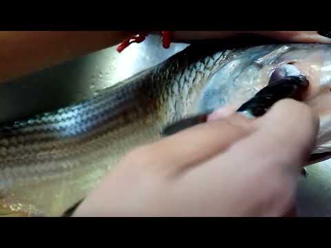 video 🐠 // onlyfans 🔥 miminailslong2/ read video description 👇👇👇