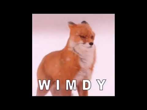 IT FUCKEN WIMDY meme