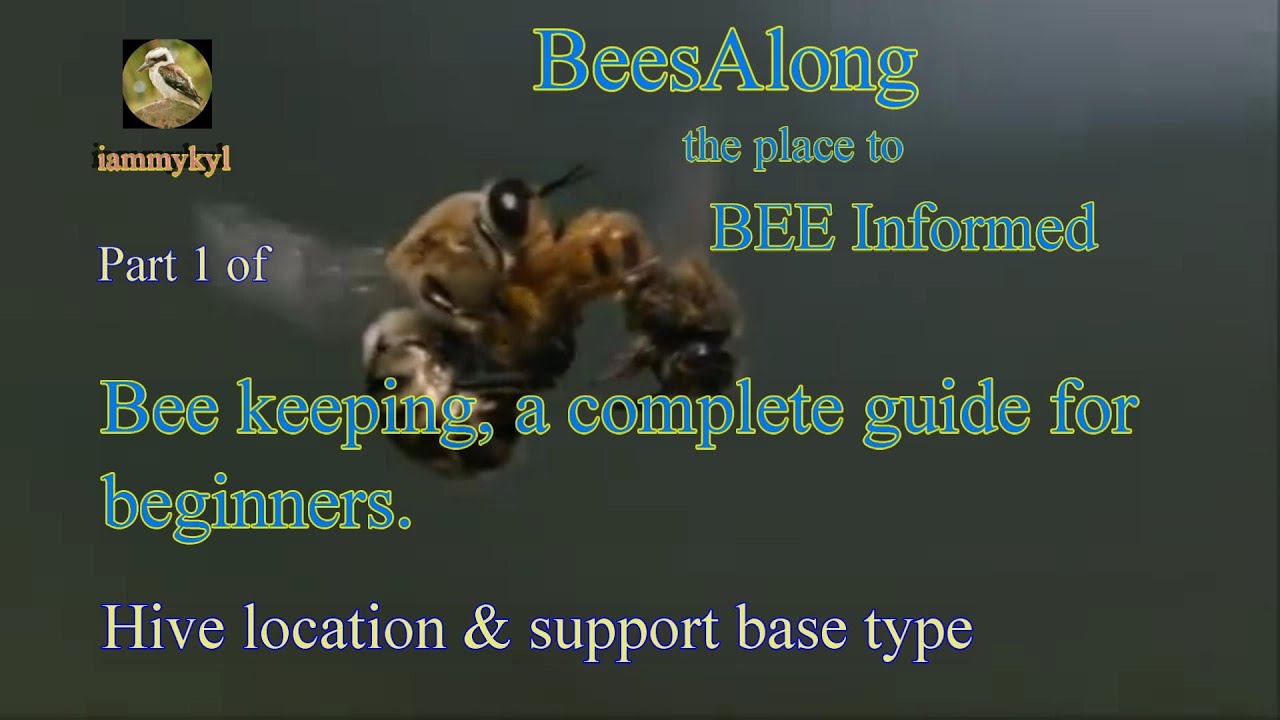 Part 1 of Beekeeping, a complete guide for beginners - YouTube