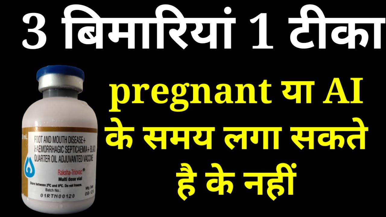 raksha triovac vaccine uses in cows and buffalo - YouTube