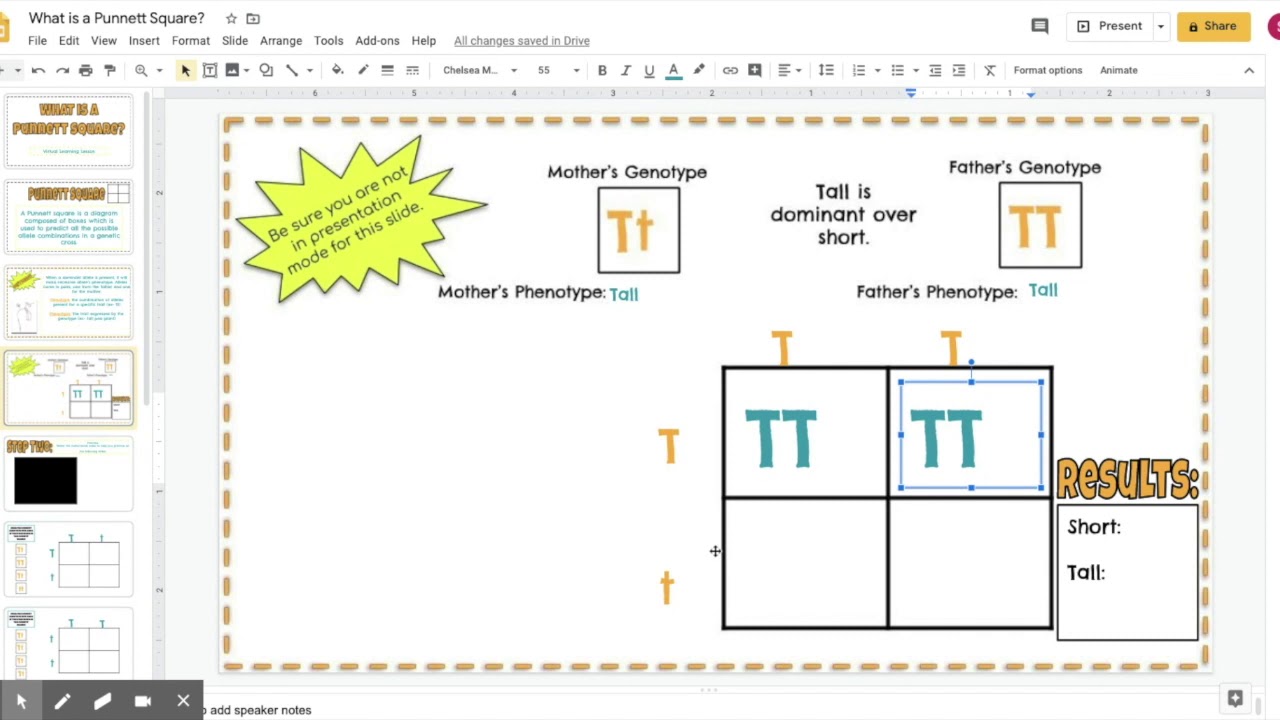 How to Make Punnett Squares Tutorial - YouTube