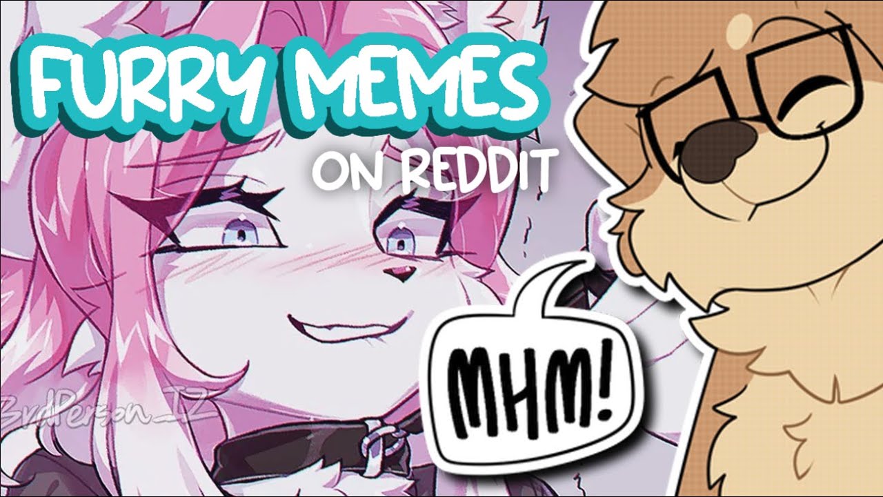 Reddit FURRY memes that will put you in the naughty list | XMAS EDITION ...