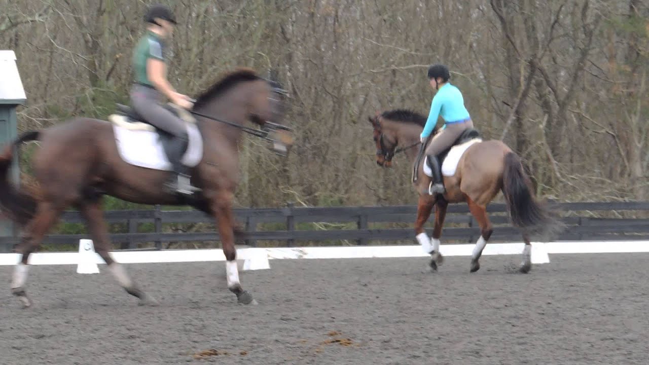 Winter Camp 2015 Dressage 8 Day 1 - YouTube